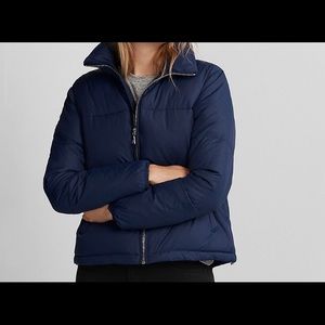 Express | Jackets & Coats | New Express Short Puffer Coat | Poshmark